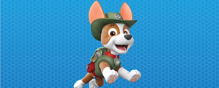 PAW Patrol Live! Heroes Unite | Show Details, Characters, & More!